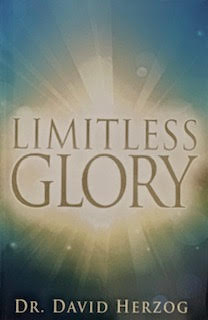 Limitless Glory Book - David Herzog Store
